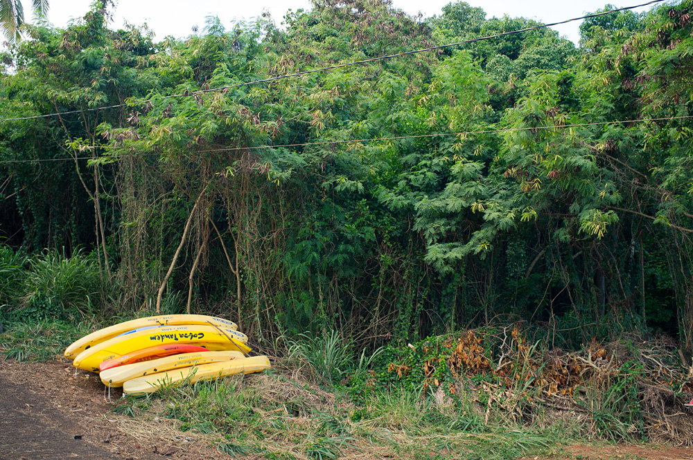 Beautiful Hawaii // Anja Poehlmann - photo and film
